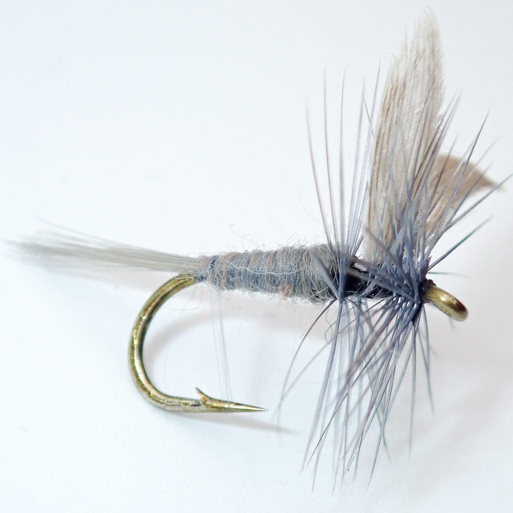 Blue Dun - Wooly Bugger Fly Co.